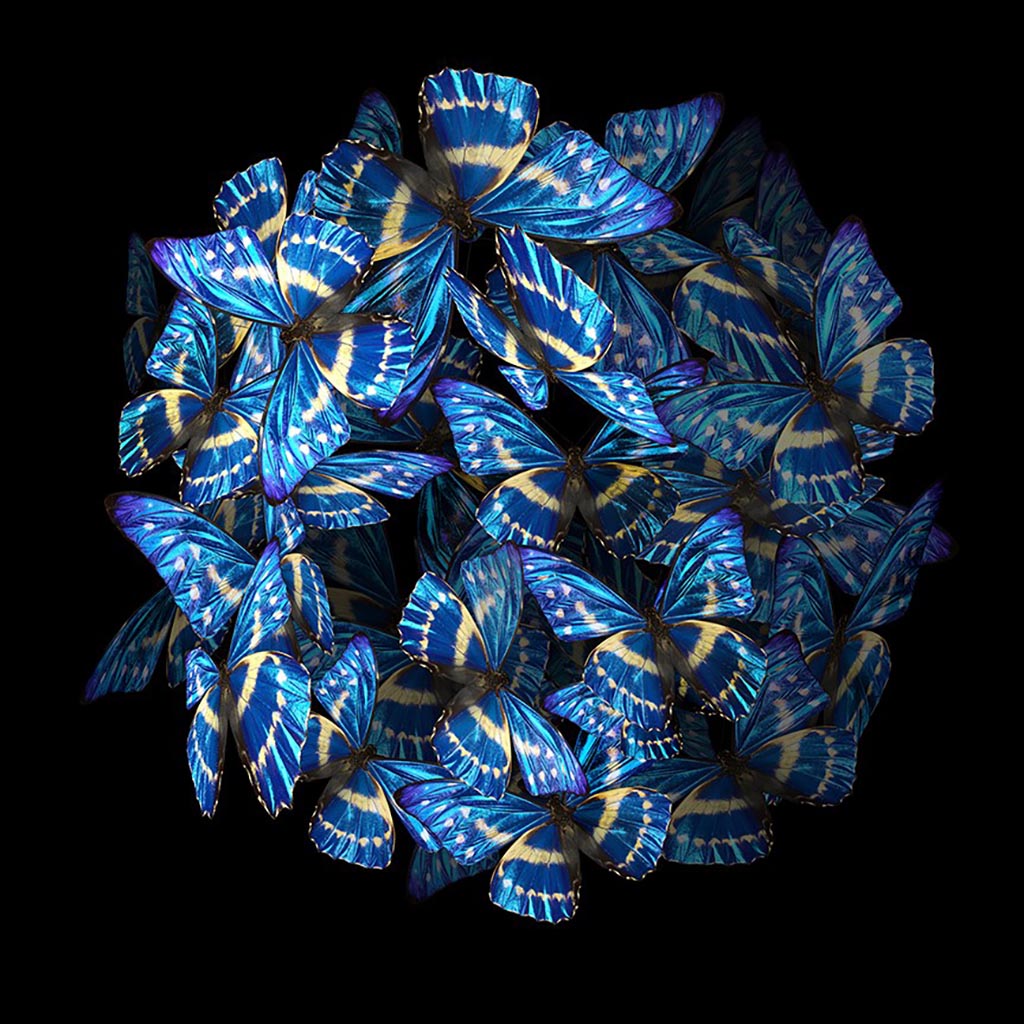 Blue Bowl (Série/Series) de Hellwig, Heiko – Galerie d'Art Beauchamp